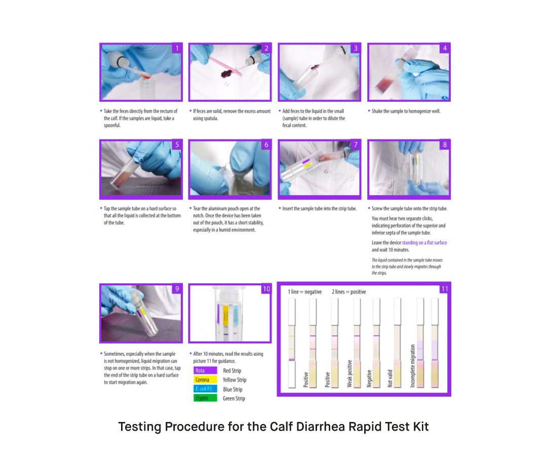 What is Calf Diarrhea (Scours) and How to Use the Calf Diarrhea Rapid ...
