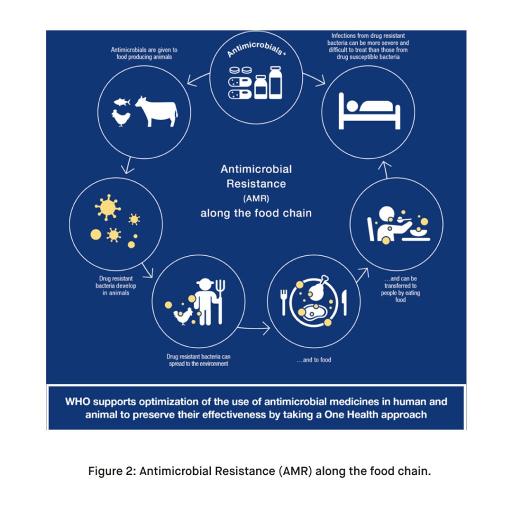 WOAH Warns Veterinary Authorities. What is Antimicrobial Resistance ...